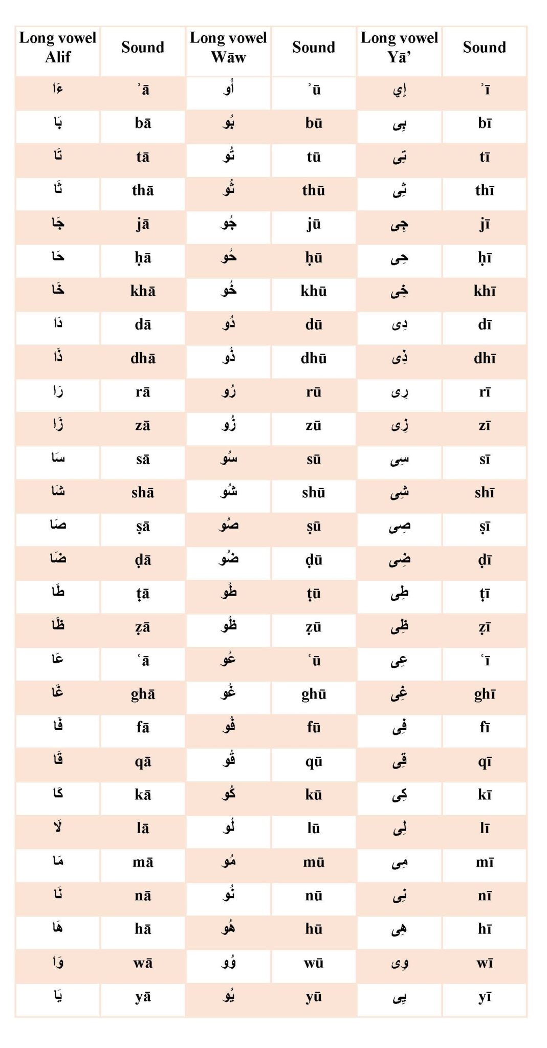Master the Long Vowels And Short Vowels in Arabic language